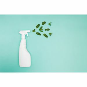 Discover the Power of Probiotic Cleaners: The Future of Effective and ...